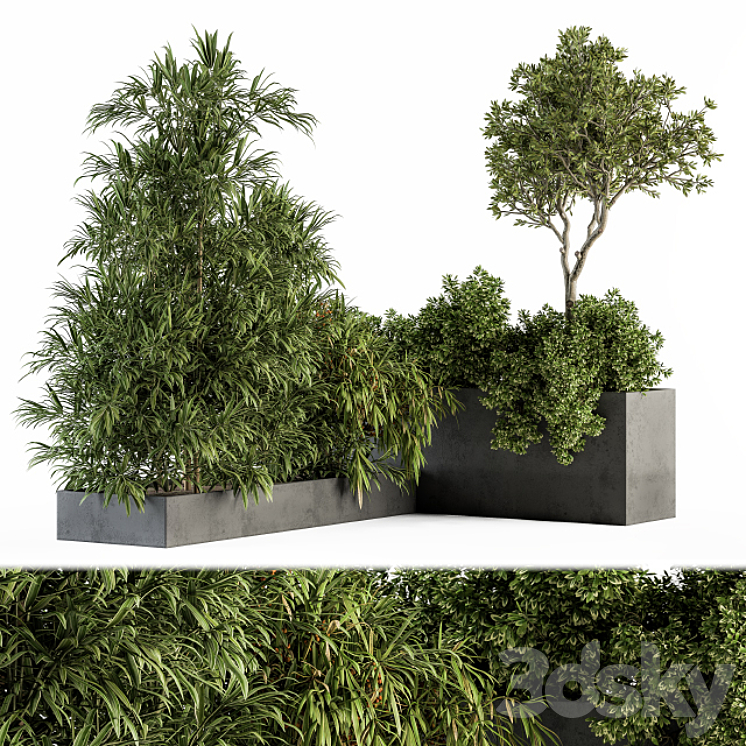 Outdoor Plant Set 229 - Plant Box with Tree - Outdoor - 3D model