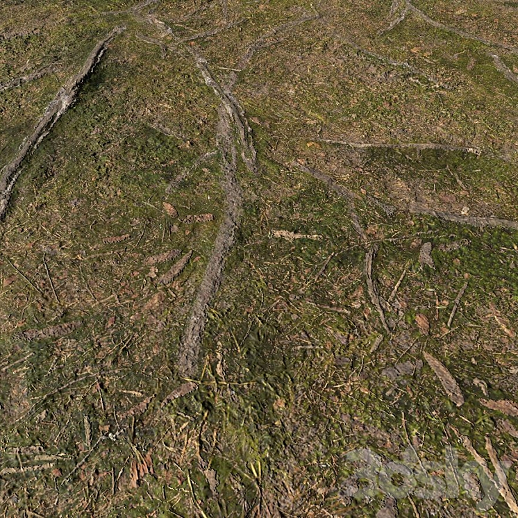 Forest land - Miscellaneous - 3D model