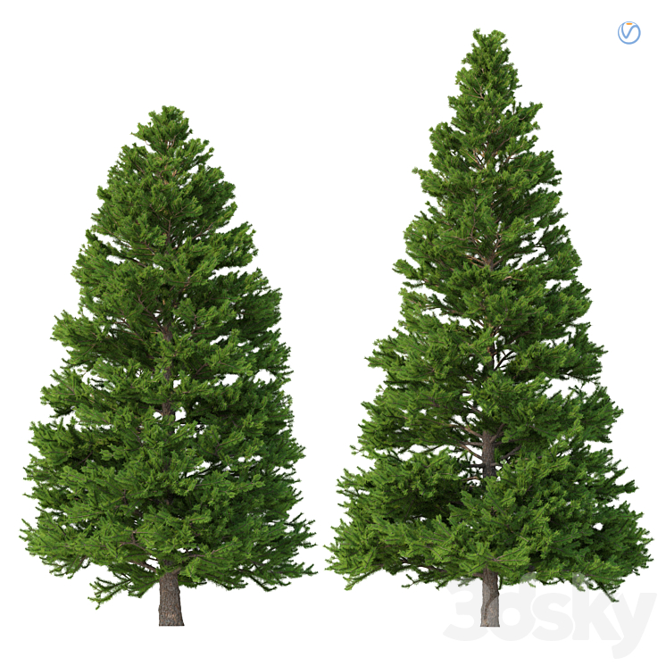 Norway spruce Set 3 V-Ray - Tree - 3D model