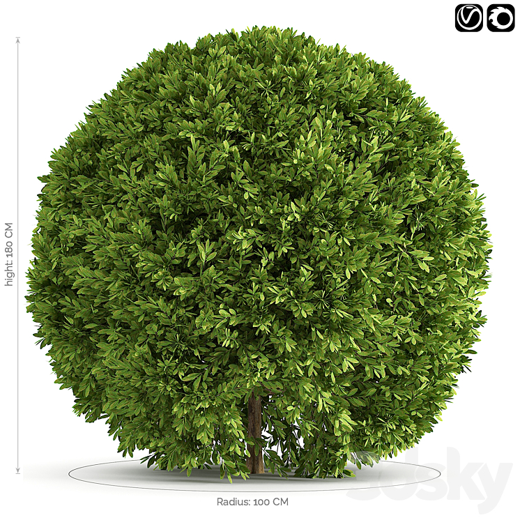 Spherical bushes - Bush - 3D model