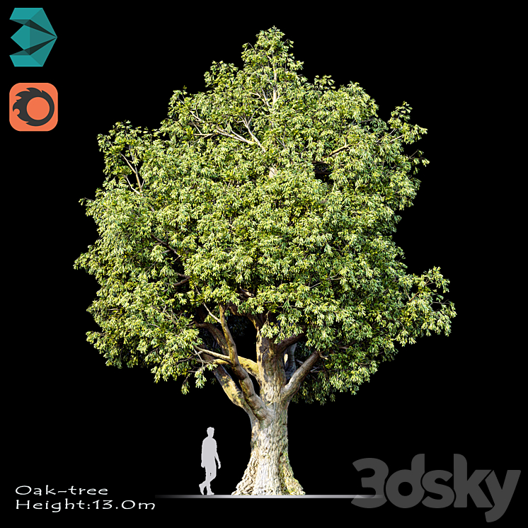 Oak-tree - Tree - 3D model