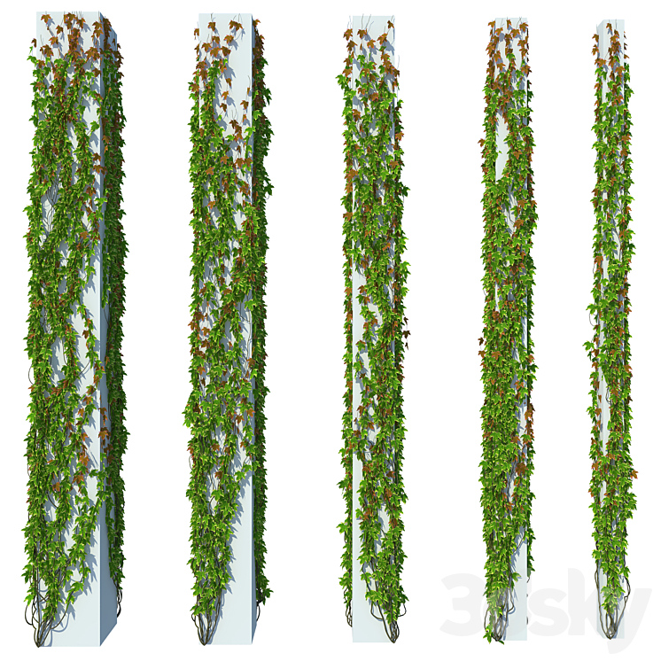 Column with Ivy v1 - Outdoor - 3D model