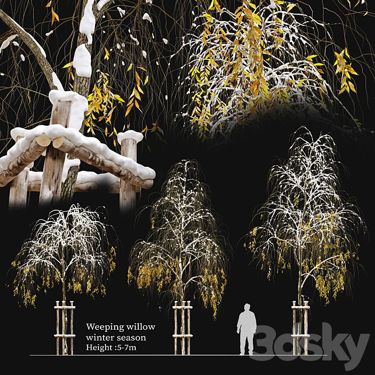 Weeping willow_winter - Tree - 3D model