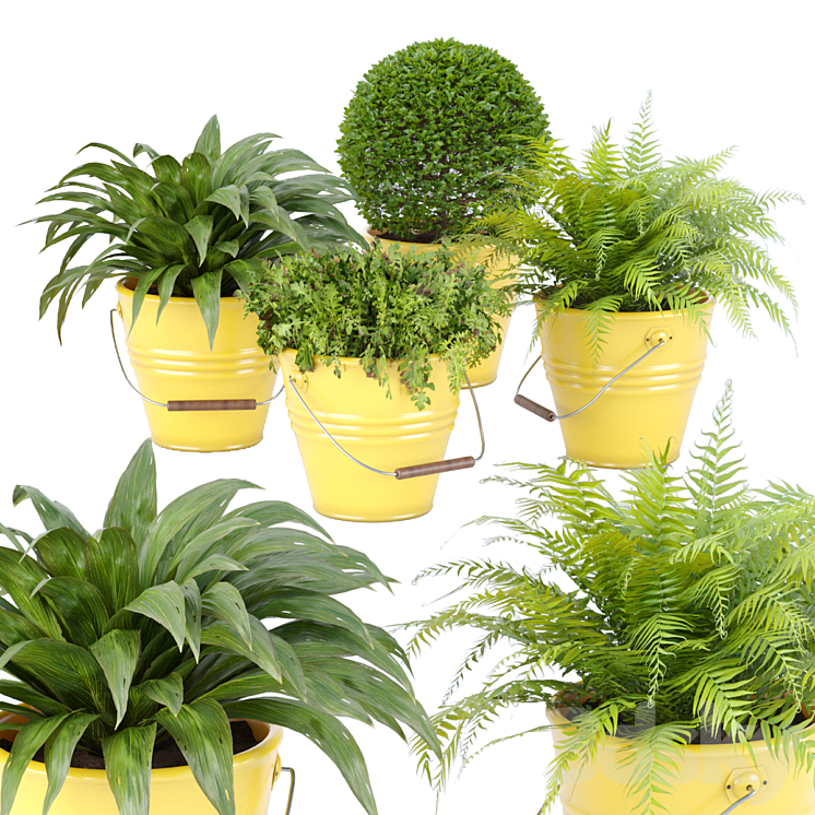 outdoor natural plants collection vol 65 - Outdoor - 3D model
