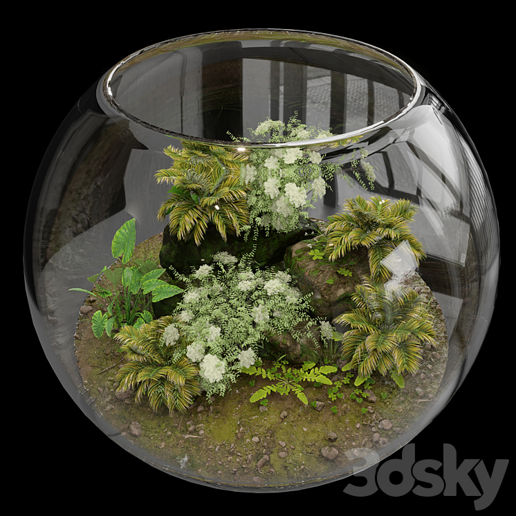 TERRARIUM PLANTS COLLECTION NO4 - Indoor - 3D model