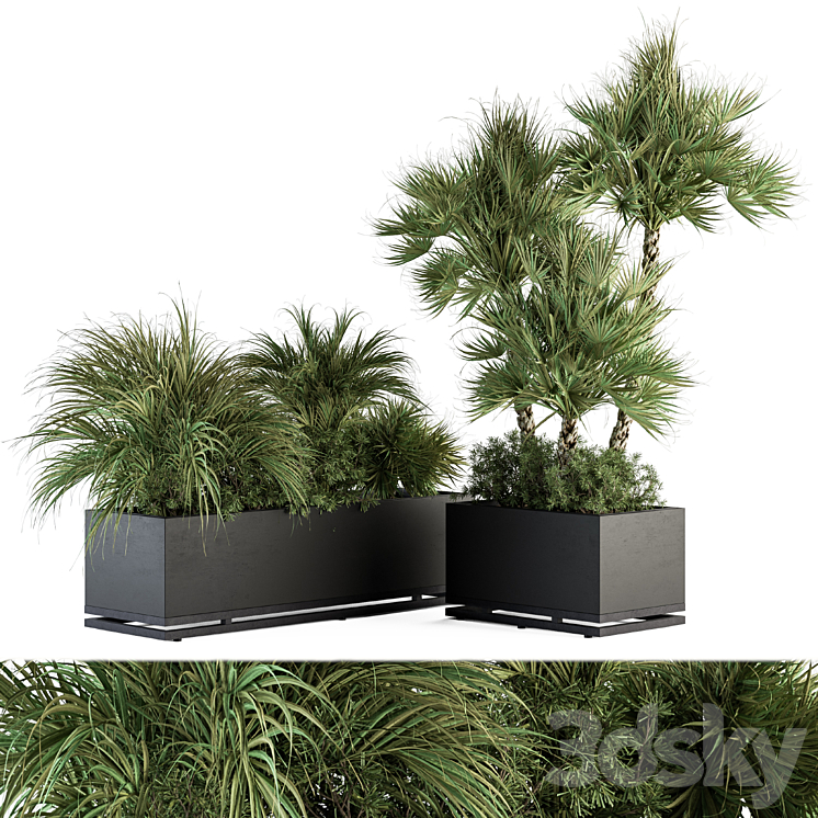 Plant Box Tropical Plants - Outdoor Plants Set 371 - Outdoor - 3D model