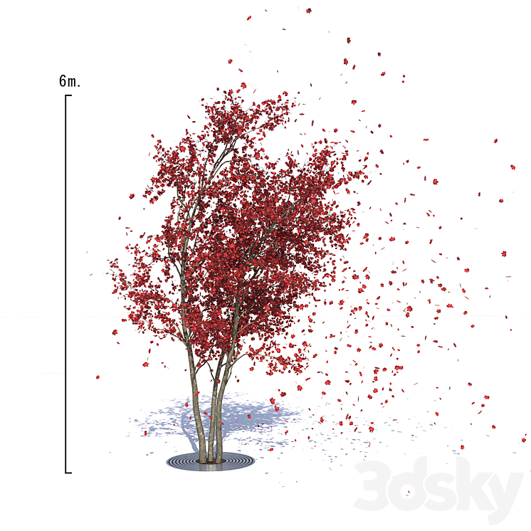Urban Windy Maple Tree - Tree - 3D model