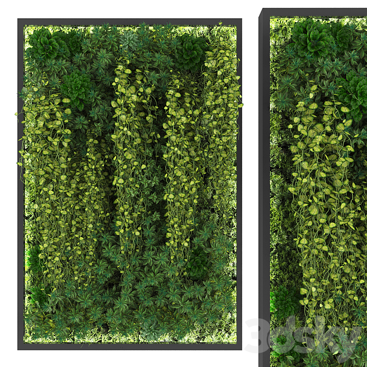 vertical garden 174 - Fitowall - 3D model