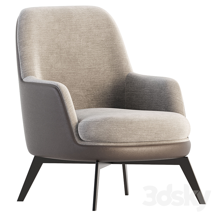 Flexform GUSCIO Armchair - Arm chair - 3D model