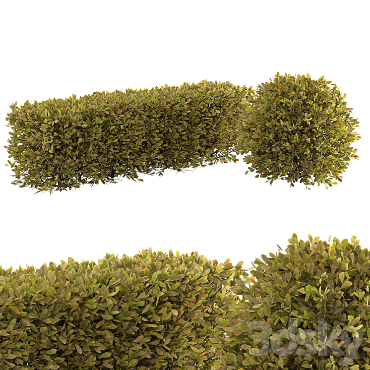 Dried Bush No.6 - Bush - 3D model