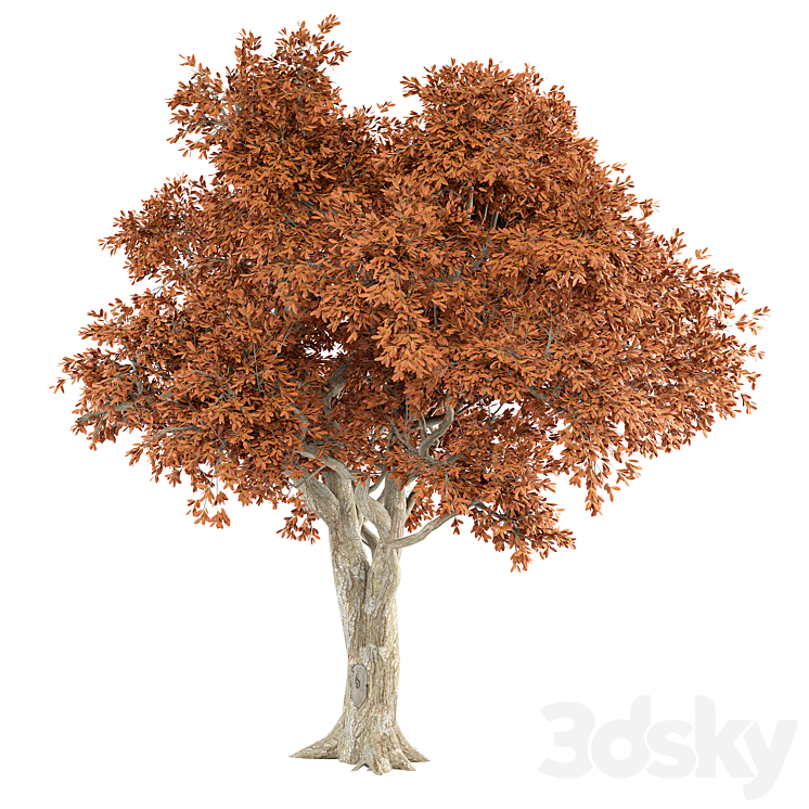winter Tree (No.10) - Tree - 3D model
