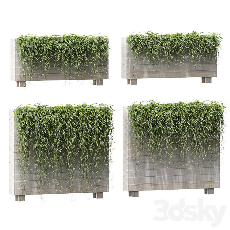 Outdoor plants in wooden pots. 4 models - Outdoor - 3D model