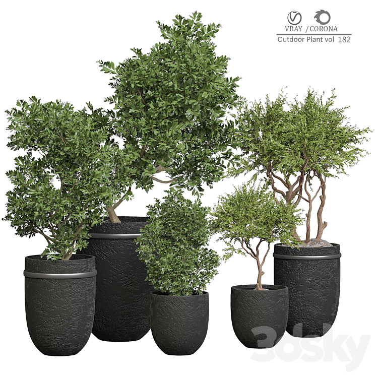 Outdoor Plant 182 - Indoor - 3D model