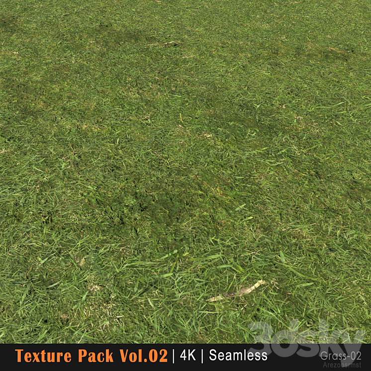 Grass texture P2-02 - Natural materials - 3D model