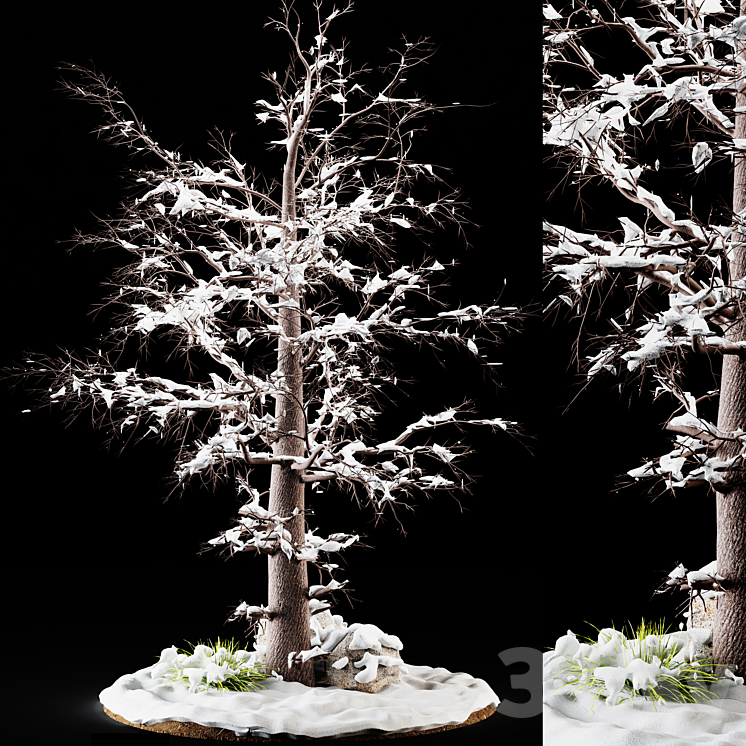 winter tree 01 - Tree - 3D model