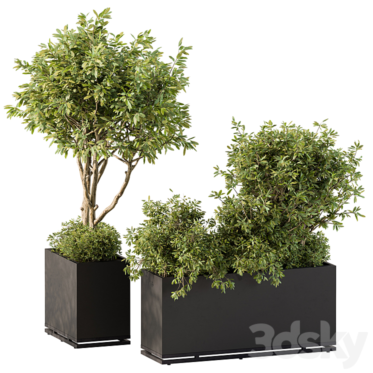 Plant Box - Outdoor Plants 508 - Outdoor - 3D model