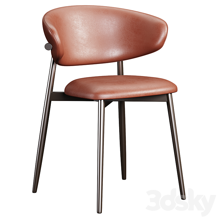 Oleandro chair - Chair - 3D model
