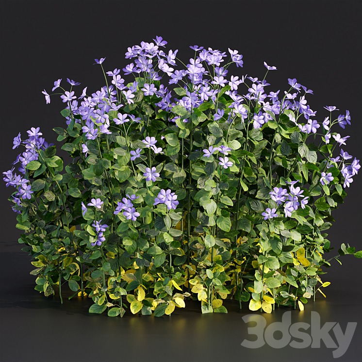 Periwinkle flowering plants vol 185 - Outdoor - 3D model