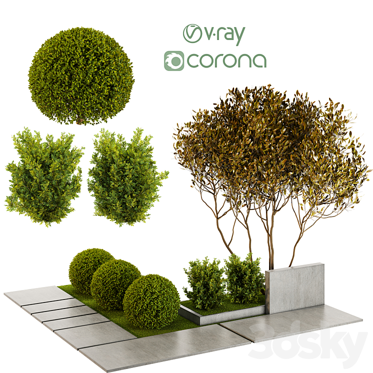 Outdoor Plant Vol1 01 - Outdoor - 3D model