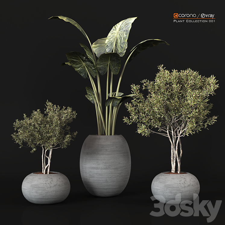 Plant Collection 001 - Indoor - 3D model