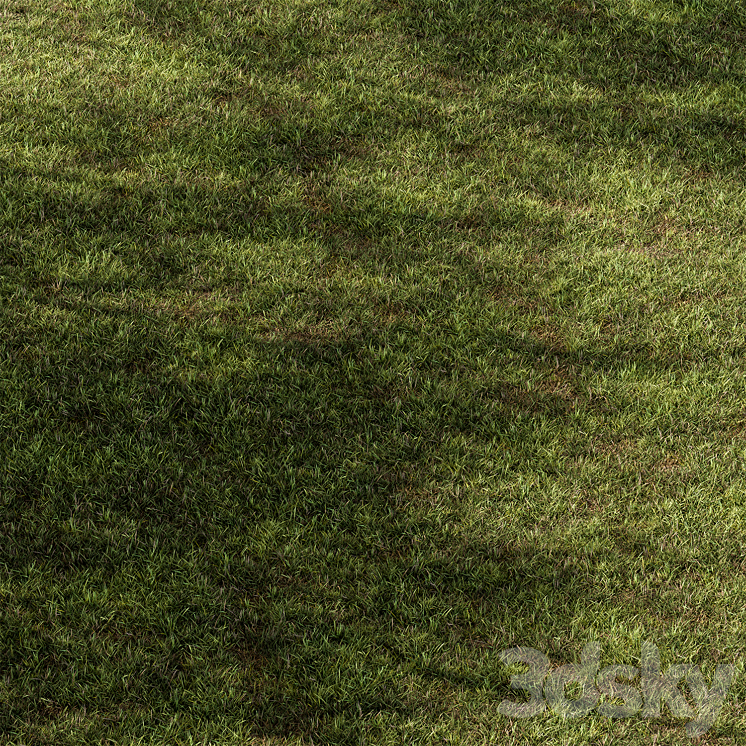 Short Grass Set 18 - Grass - 3D model