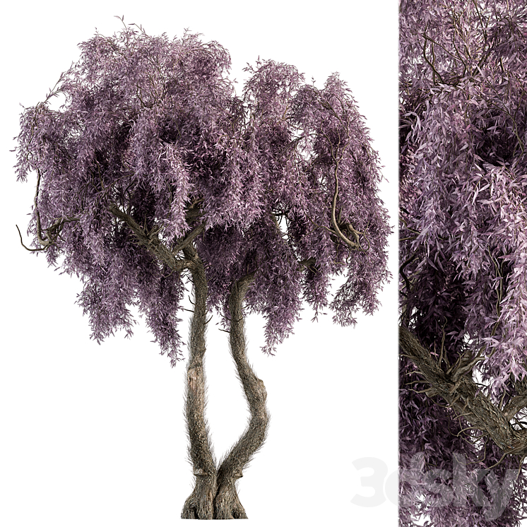 Purple Wisteria - Tree Set 169 - Tree - 3D model