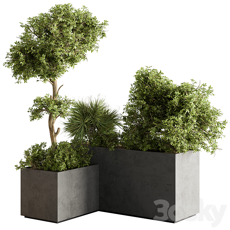Plant Box - Outdoor Plants 559 - Outdoor - 3D model