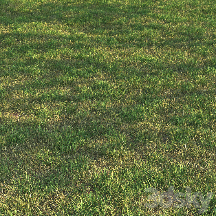 grass12 - Grass - 3D model