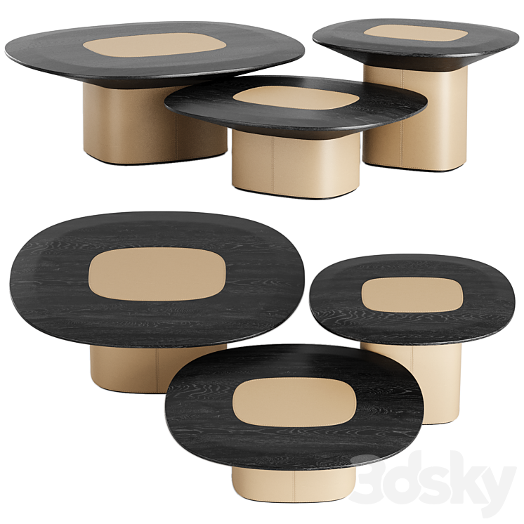 DISK COFFEE TABLES - TRUSSARDI Casa - Table - 3D model