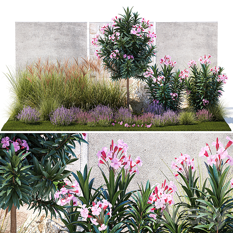 Plant collection garden with bushes and trees with grass grass ...