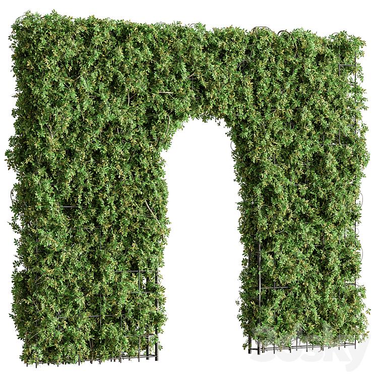 Ivy on Fence - Architect Element 91 - Other - 3D model