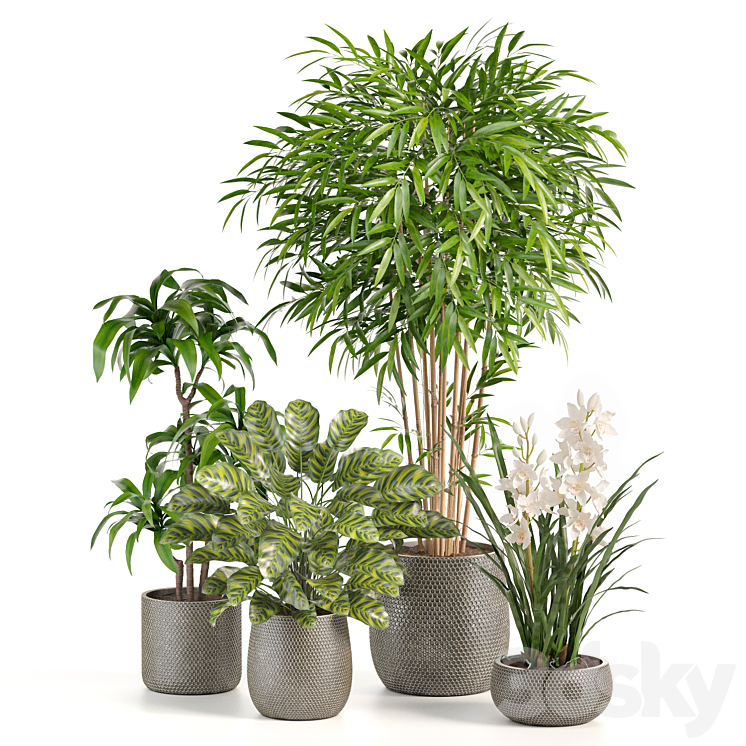 treez plants set 31 - Indoor - 3D model