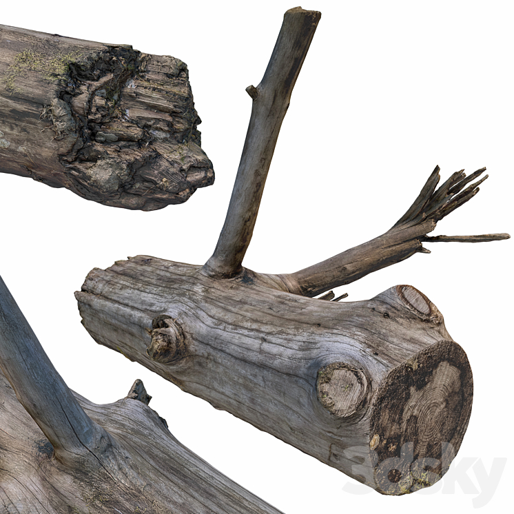 Old log with branches - Environment elements - 3D model