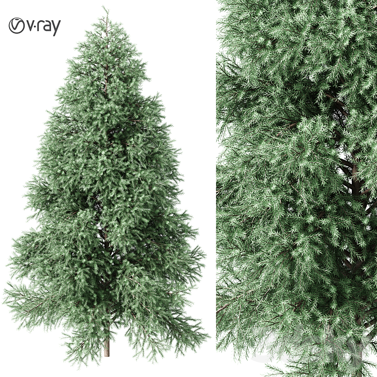 Green spruce vray - Tree - 3D model