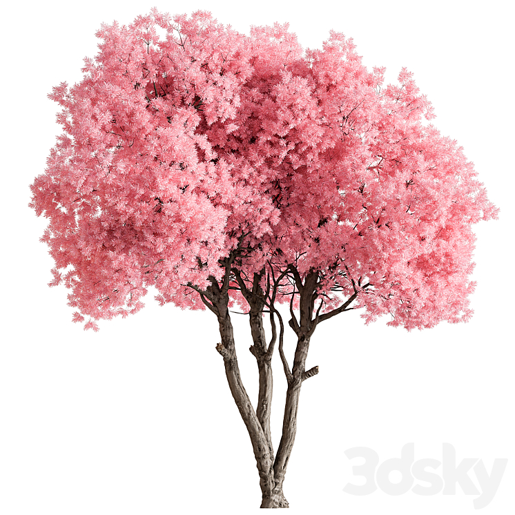 Pink Trumpet Tree Set 292 - Tree - 3D model