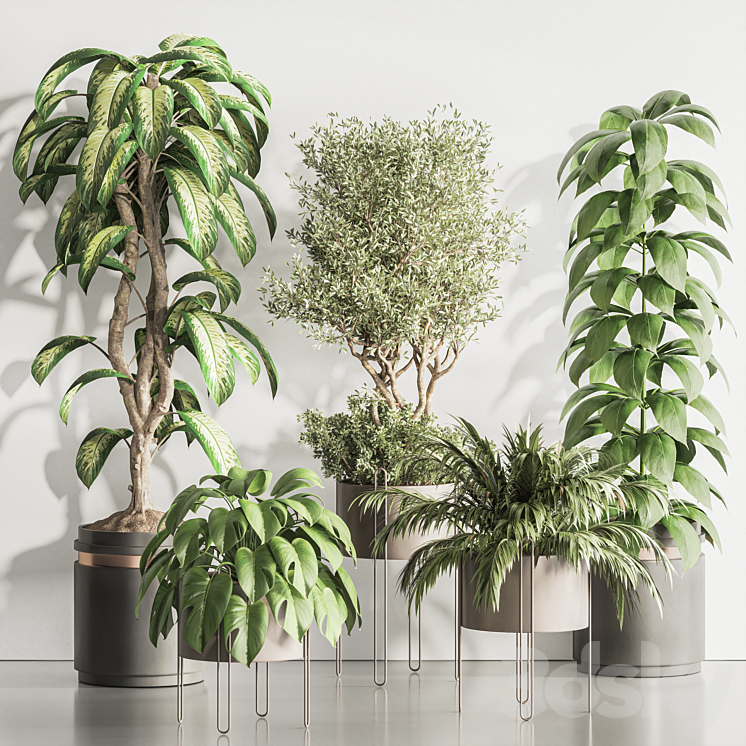 Indoor Plant Set 130 - Indoor - 3D model