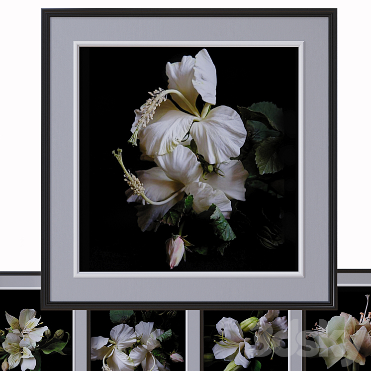 FLOWERS - Frame - 3D model