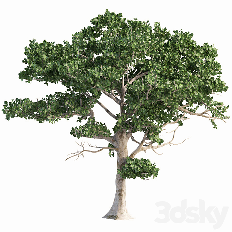 landscape environment tree set.01 - Tree - 3D model