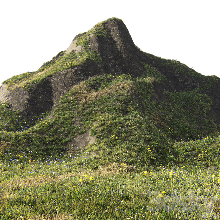Grass for mountainous terrain - Grass - 3D model