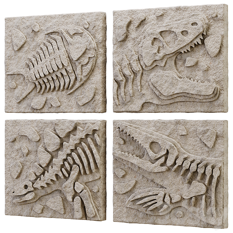 DIY Fossil Art Collection - Frame - 3D model