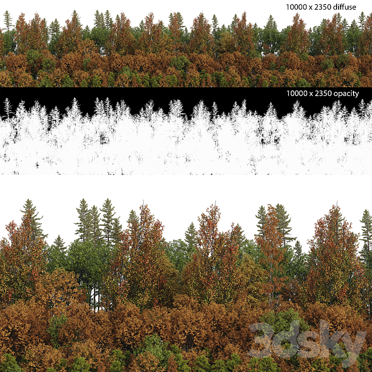 Panorama of the autumn forest with opacity map - Panorama - 3D model