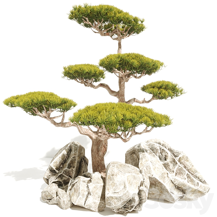 Japanese tree 04 - Outdoor - 3D model
