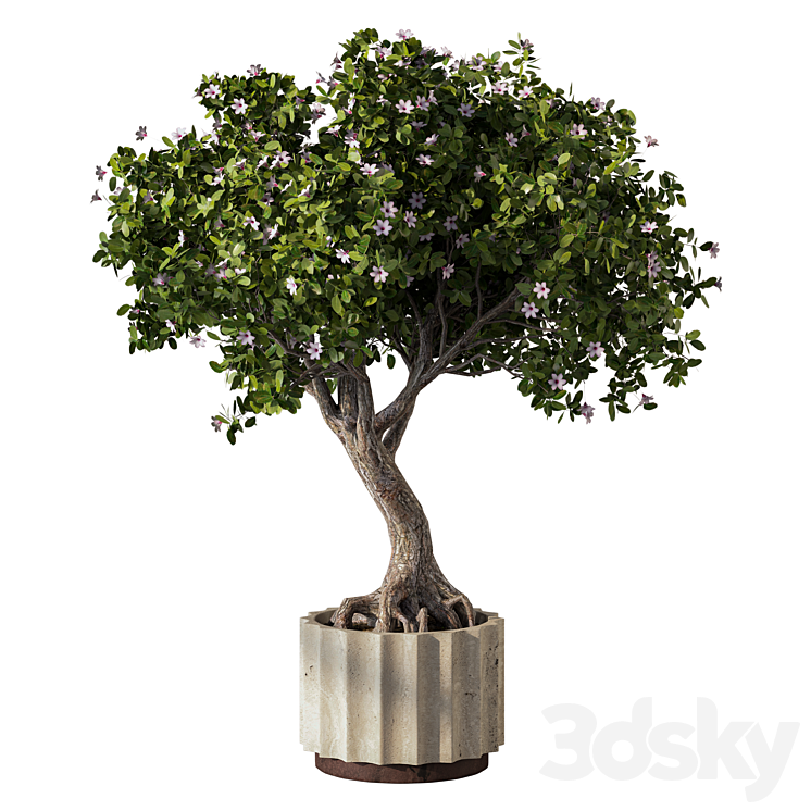 Indoor Plant Set.130 - Indoor - 3D model