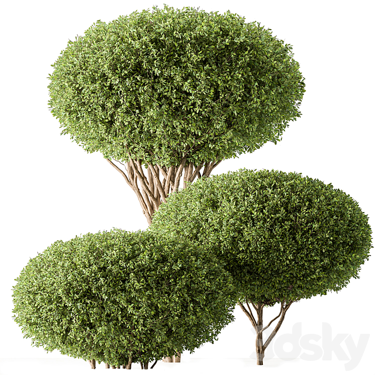 Topiary Ball Bush Set 143 - Bush - 3D model