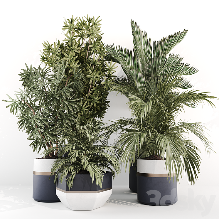 IndoorPlantSet23 - Indoor - 3D model