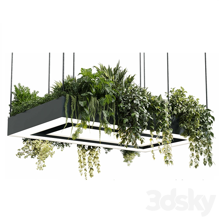 Rectangle pot light pendant - plant light hanging - indoor plant 22 ...