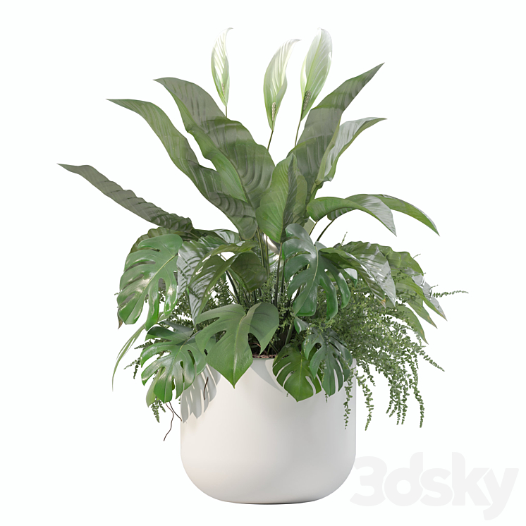Plants collection 208 - monstera fern peace lily - Indoor - 3D model