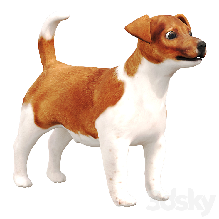 Jack Russell Terrier - Creature - 3D model