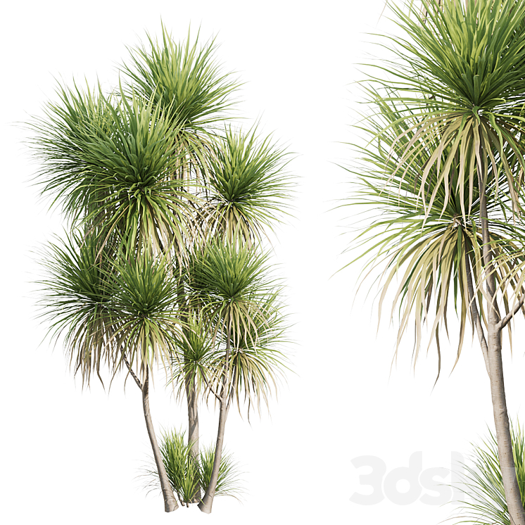 Tree Set 01-Yucca Tree - Tree - 3D model