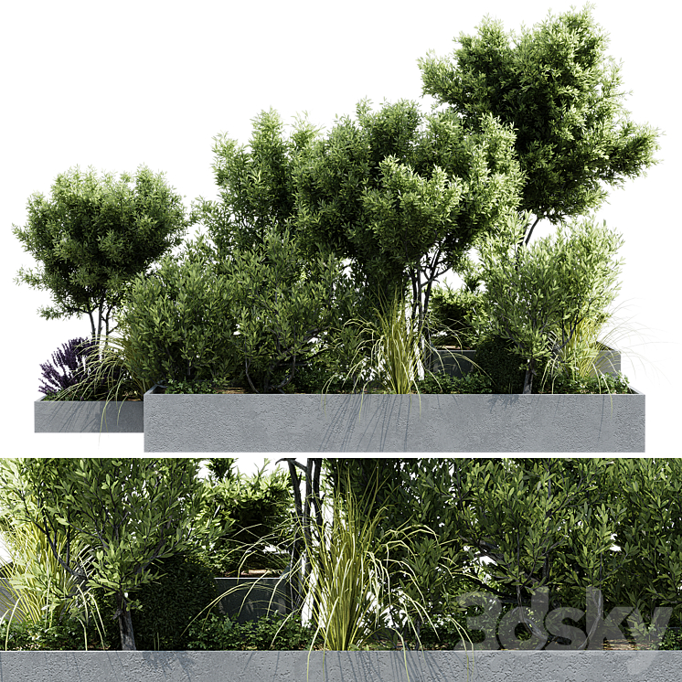 Outdoor Plants - 9 Plants in box - Outdoor - 3D model